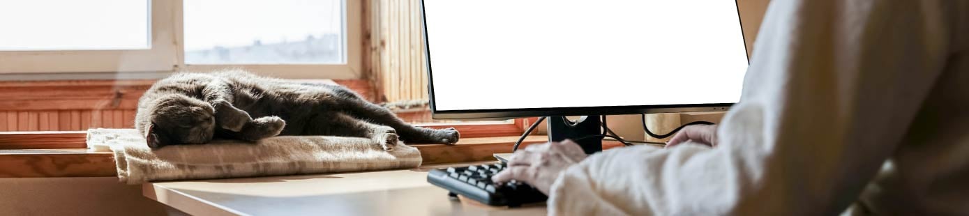 Benefits of Working from Home and Working from Home Efficiently - SkillSource